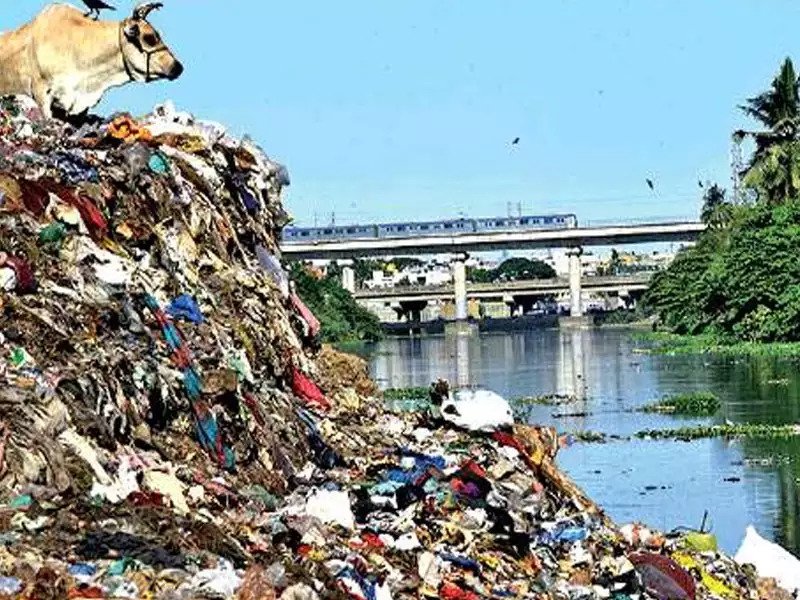 Beauty of Adyar River – Lakes of India